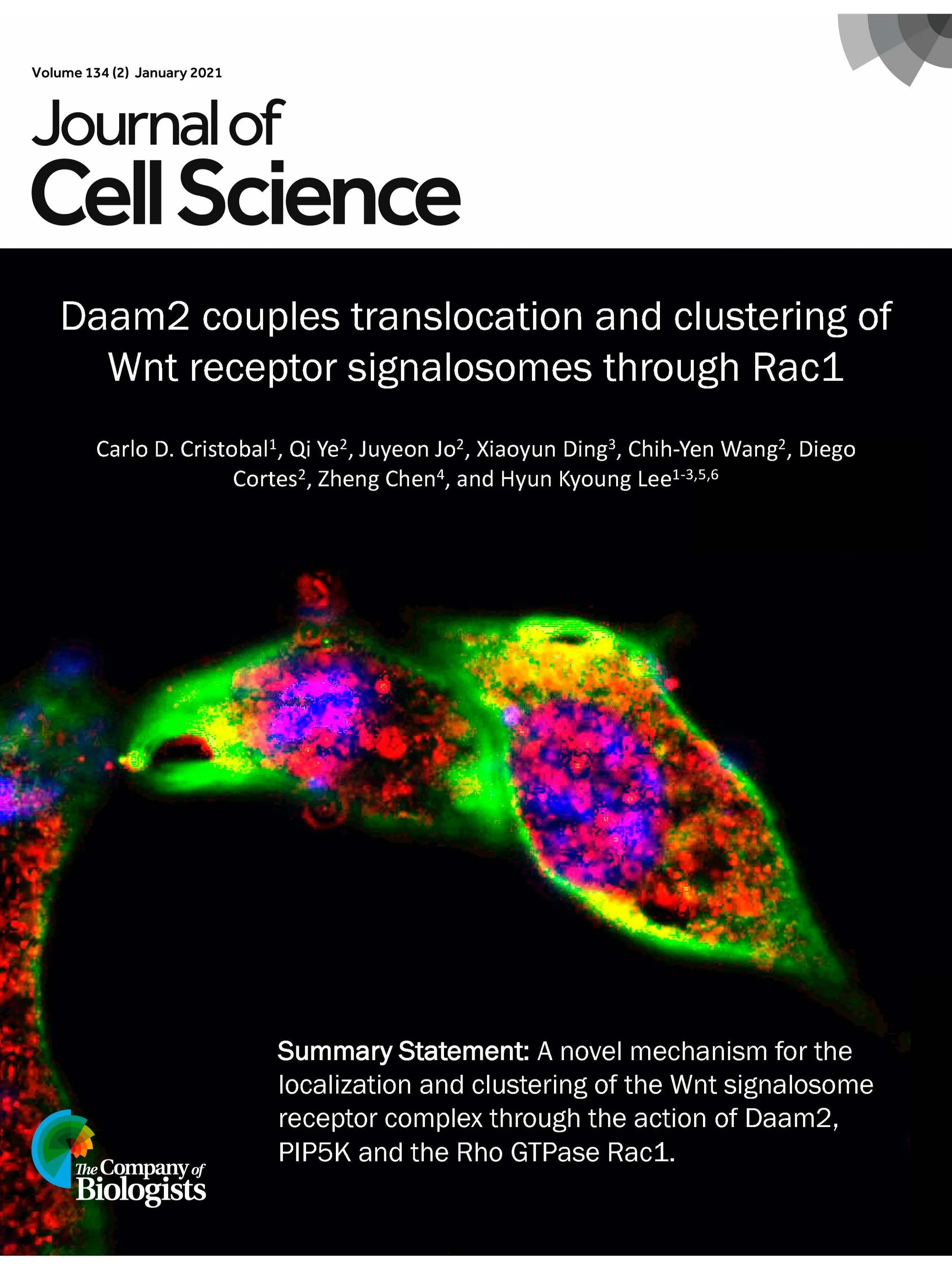 Publications — Hyun Kyoung Lee Lab