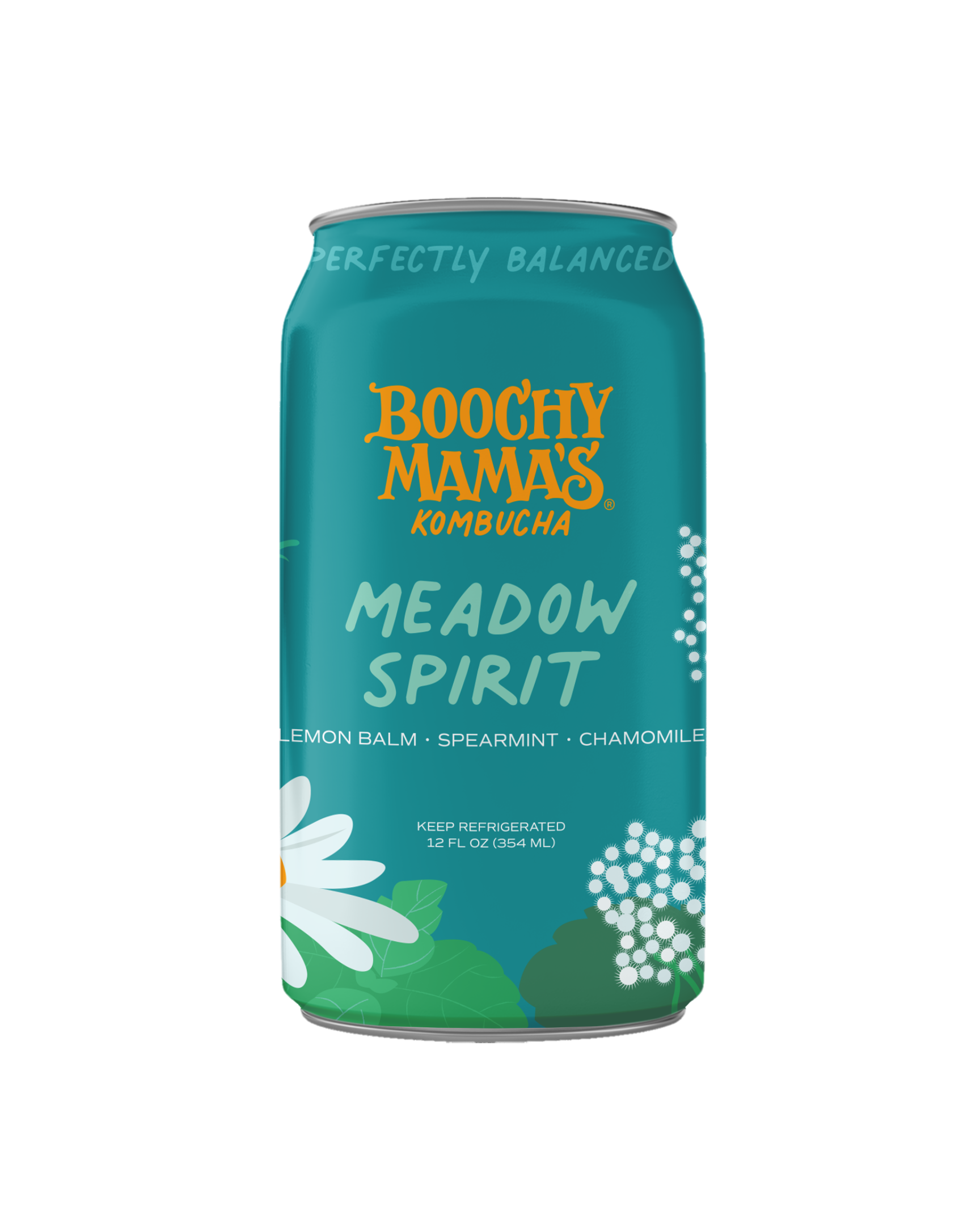 Boochy Mama's Kombucha Kombucha — Love Your Mama.