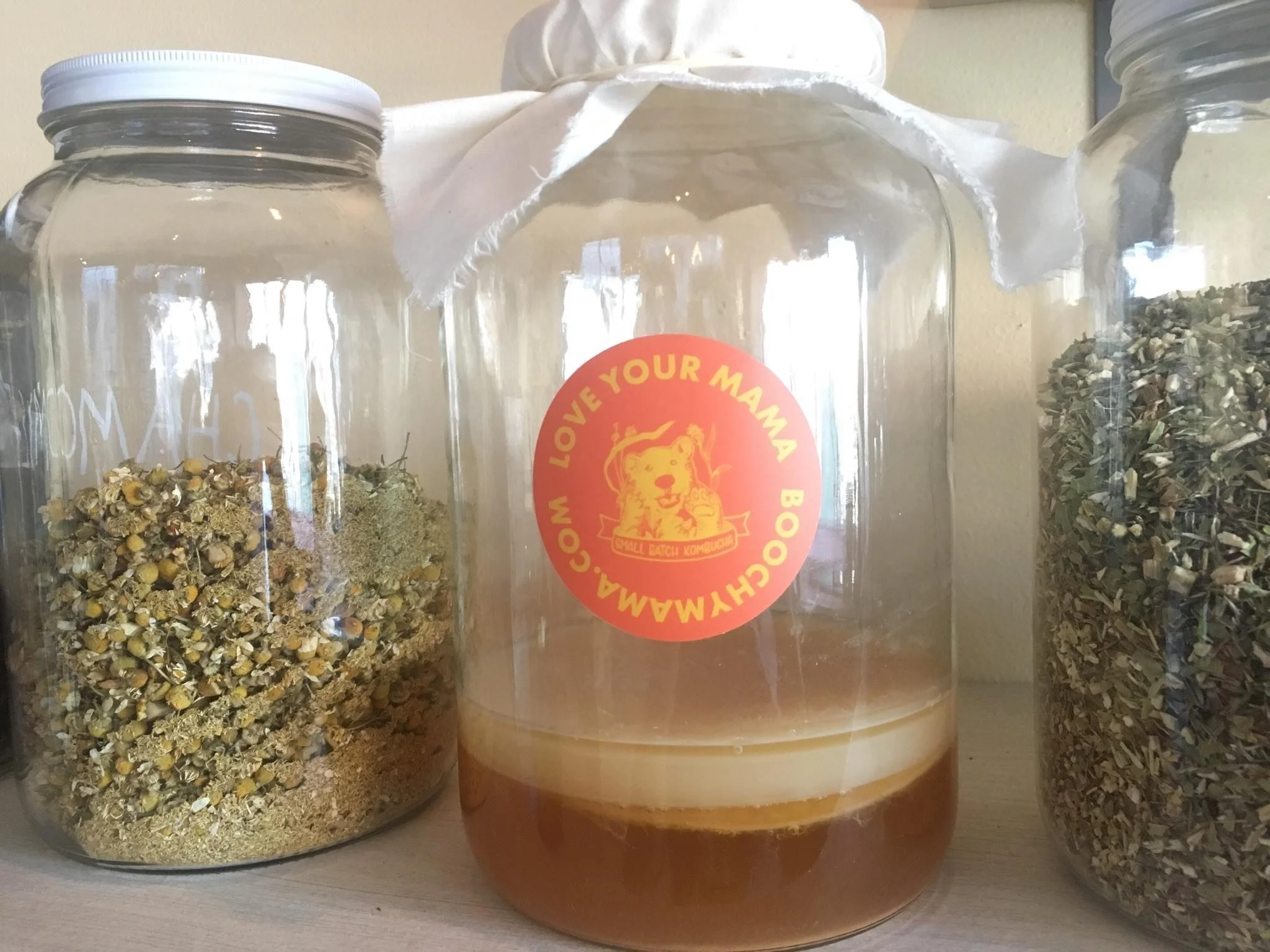 Shop Kombucha, Botanical Tonics & More — Boochy Mama's