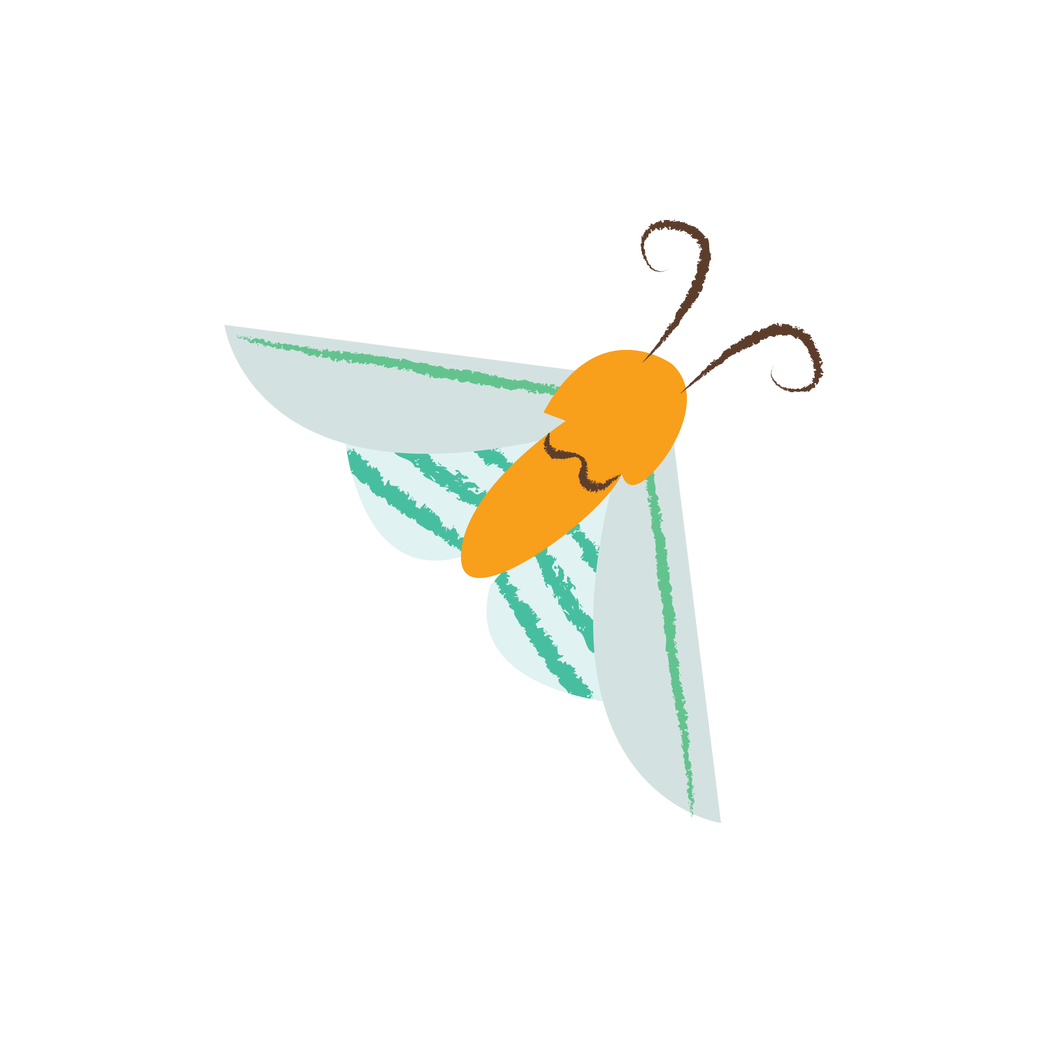 Boochy Mama's Kombucha Kombucha — Love Your Mama.