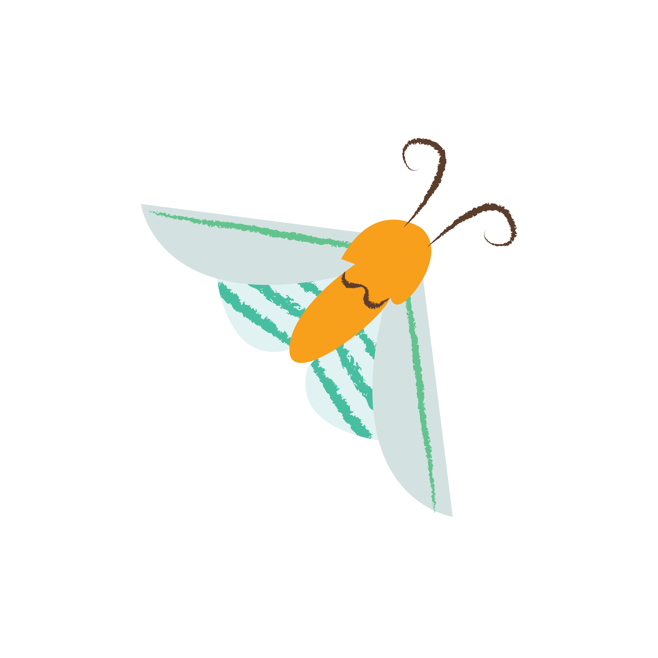 Boochy Mama's Kombucha Kombucha — Love Your Mama.