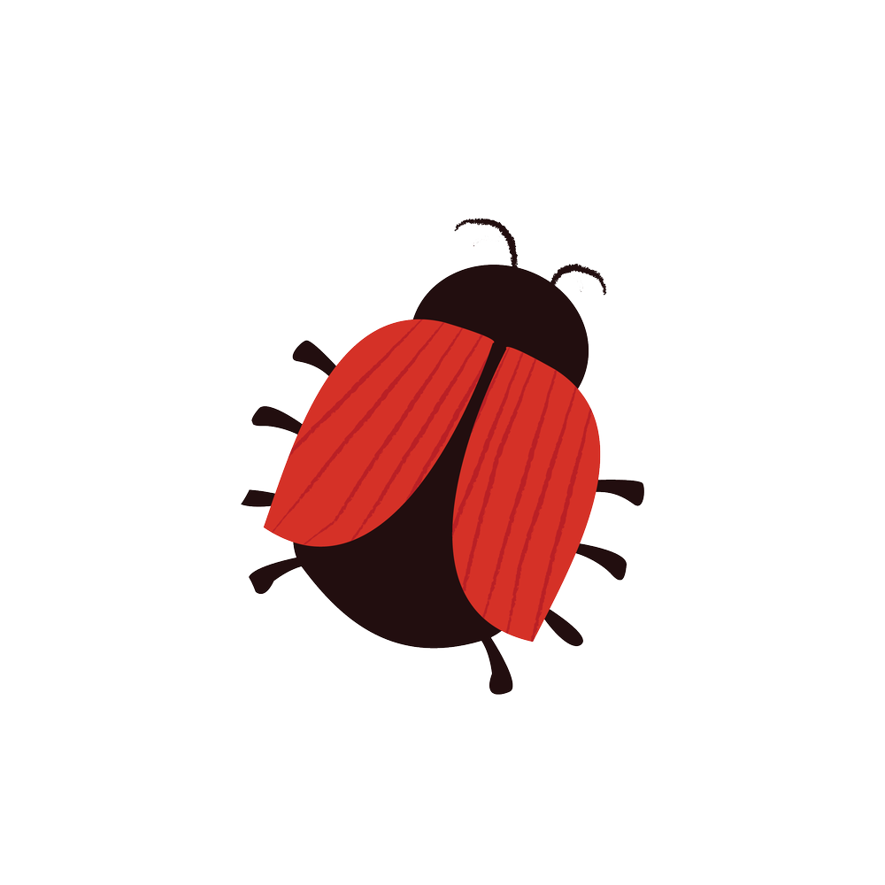 Boochy Mama's Kombucha Kombucha — Love Your Mama.