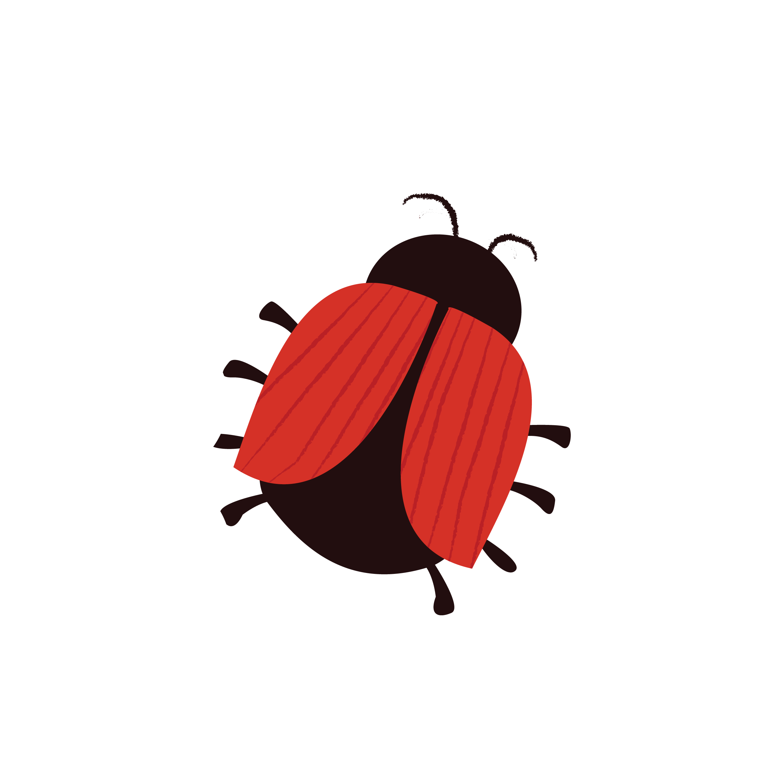 Boochy Mama's Kombucha Kombucha — Love Your Mama.