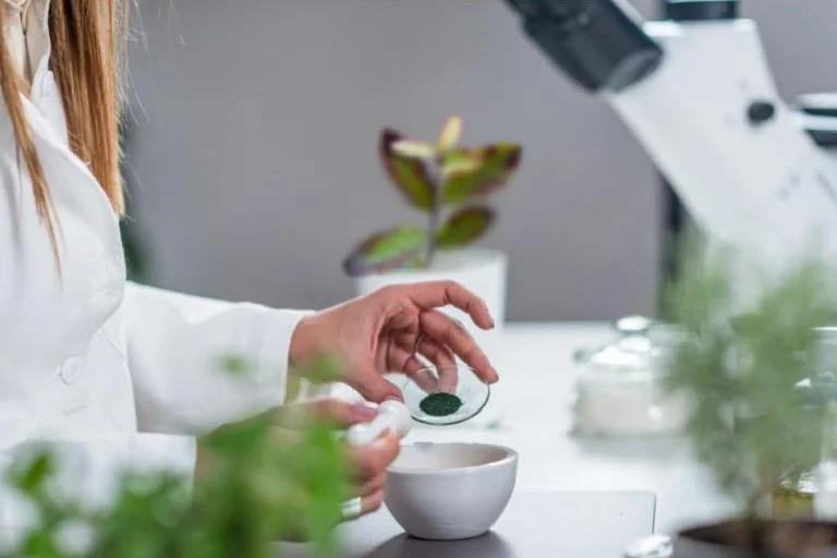 Horopito - Forest Herbs Research