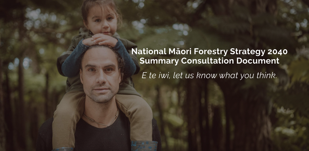 Ngā Kōrero Rangatira mō Ngā Hua Ngahere — Ngā Pou a Tāne | The National ...