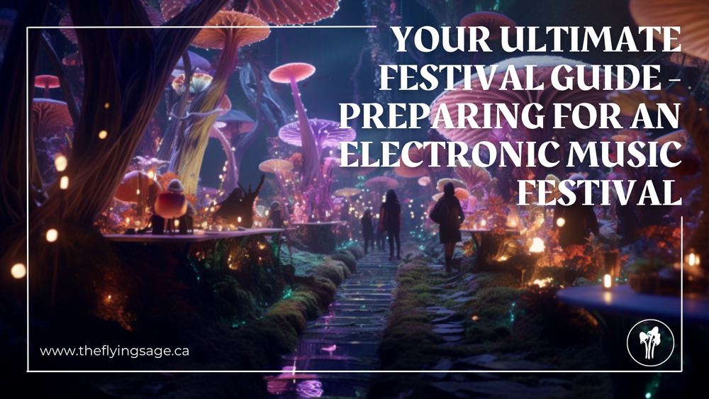 Your Ultimate Festival Guide - Preparing for an Electronic Music ...