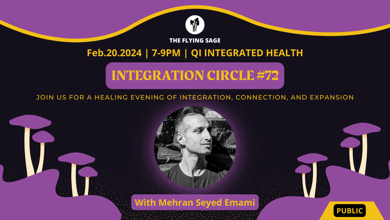 Integration Circle #72 - Mehran Seyed Emami — The Flying Sage