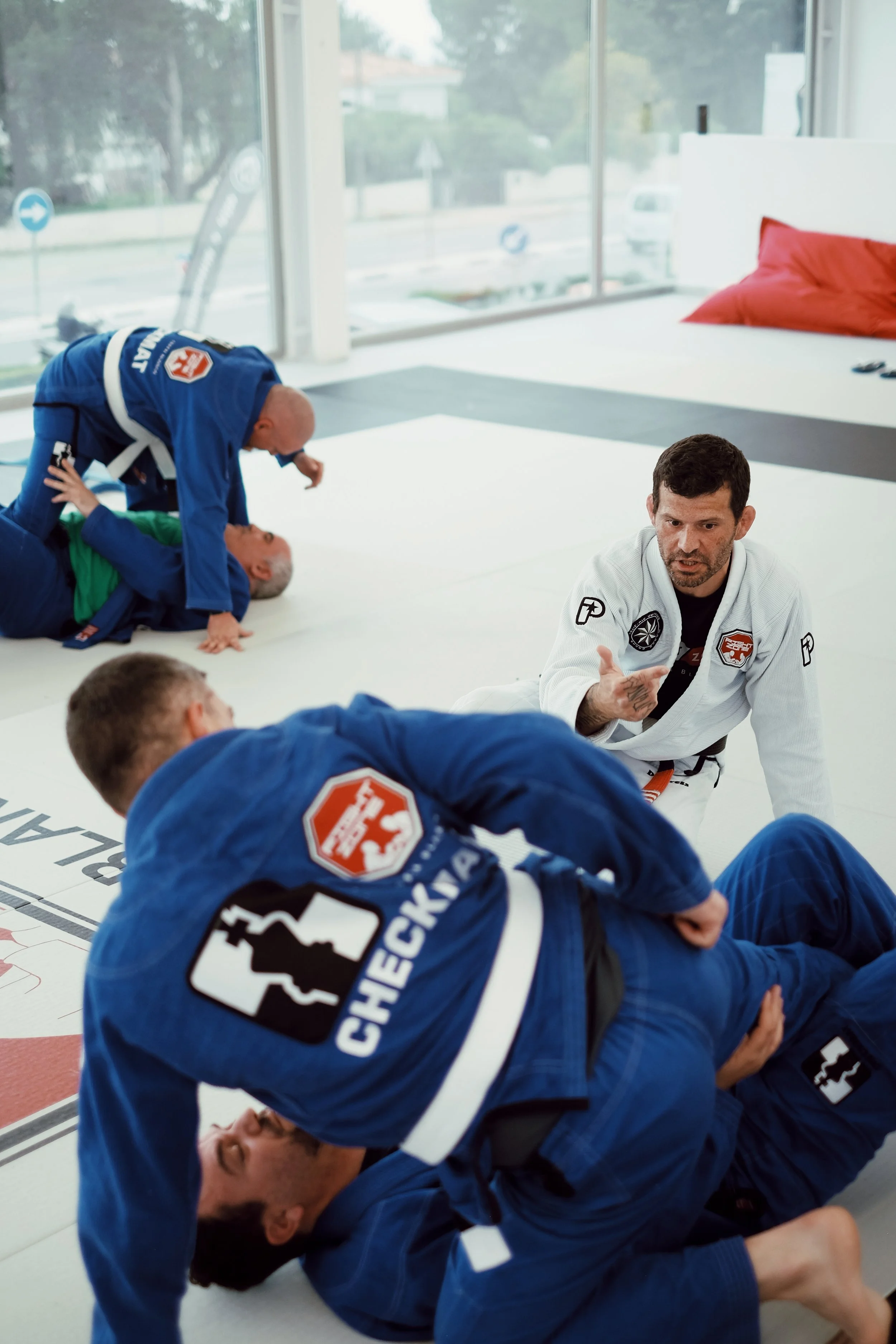 Classes — FIGHTZONE COSTA BLANCA
