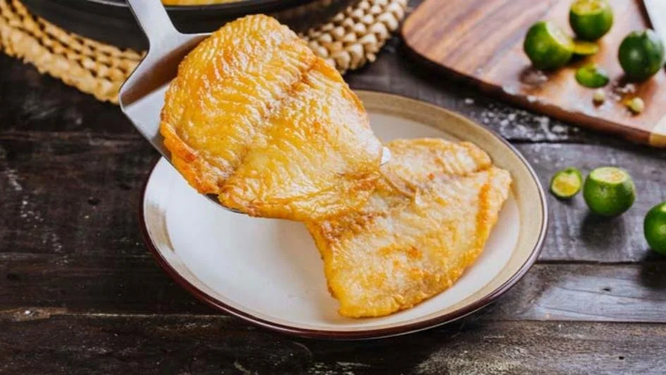 Surgeon Fish — Seatrace International