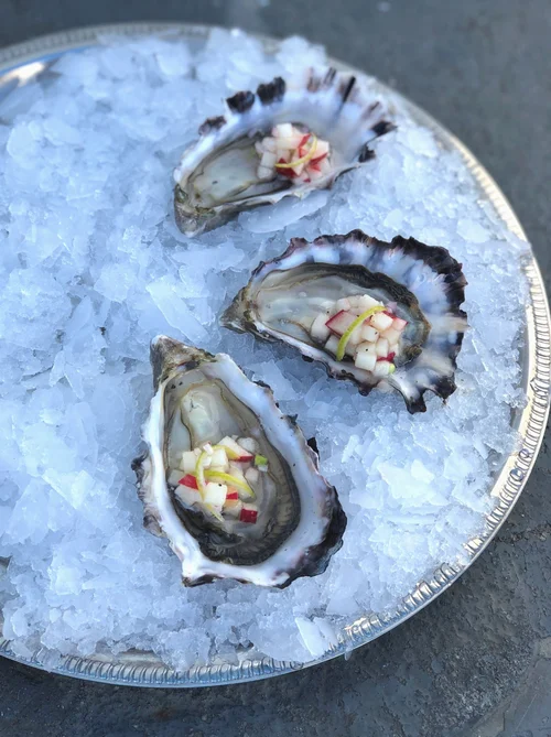 US Pangea Oysters — Seatrace International
