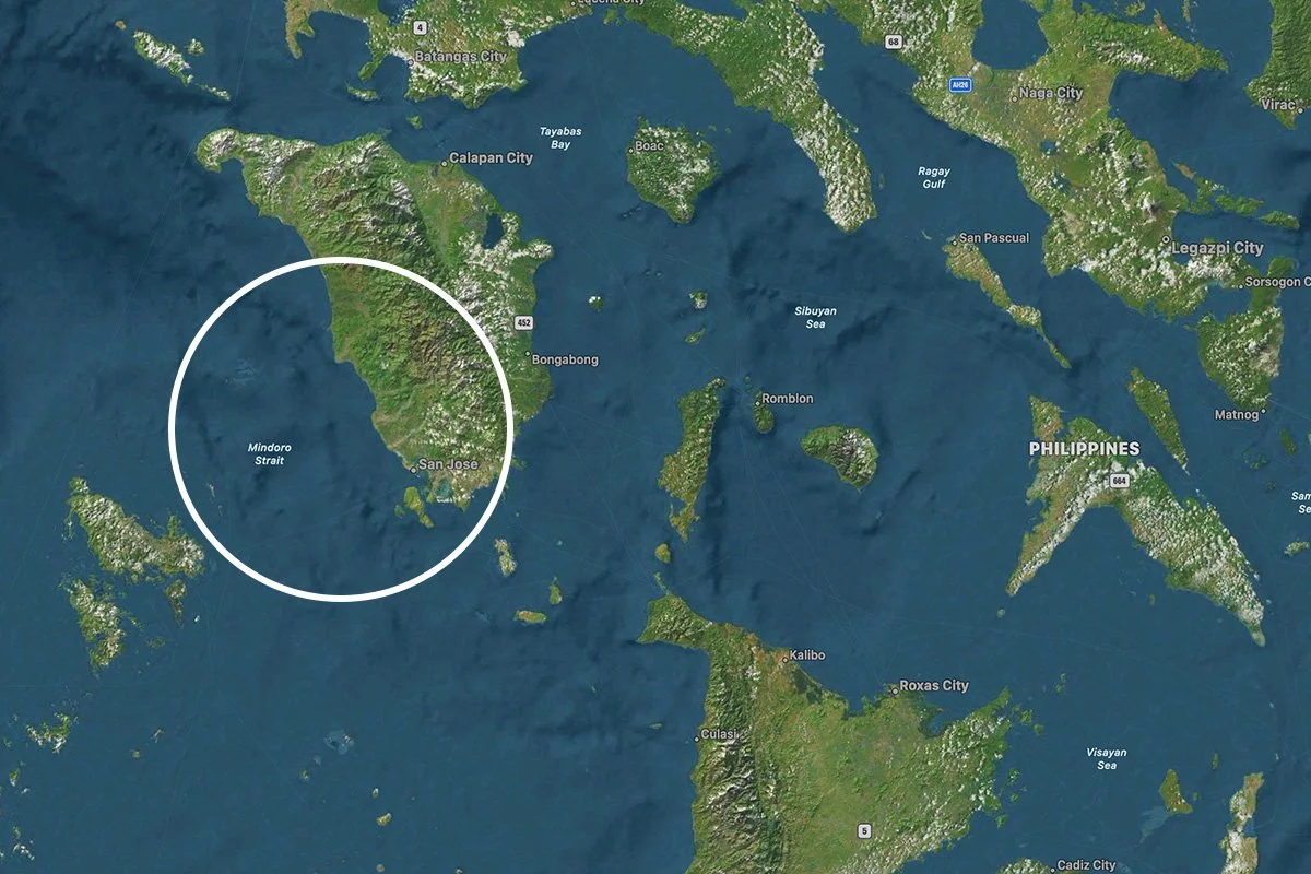 Mahi Mahi — Seatrace International