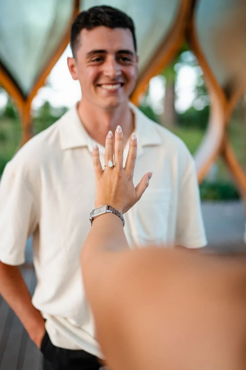 How to Propose at Lincoln Park Honeycomb Chicago — Caleb Schaftlein ...