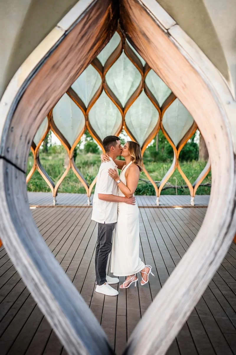 How to Propose at Lincoln Park Honeycomb Chicago — Caleb Schaftlein ...