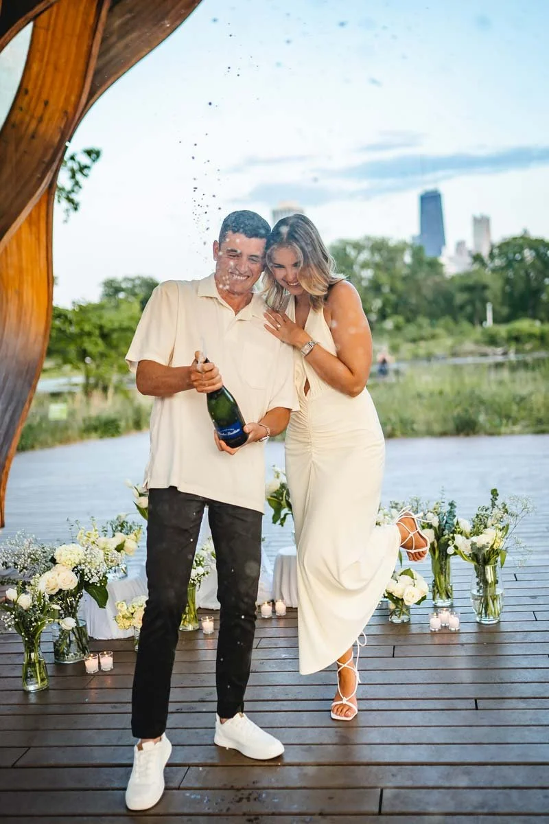 How to Propose at Lincoln Park Honeycomb Chicago — Caleb Schaftlein ...