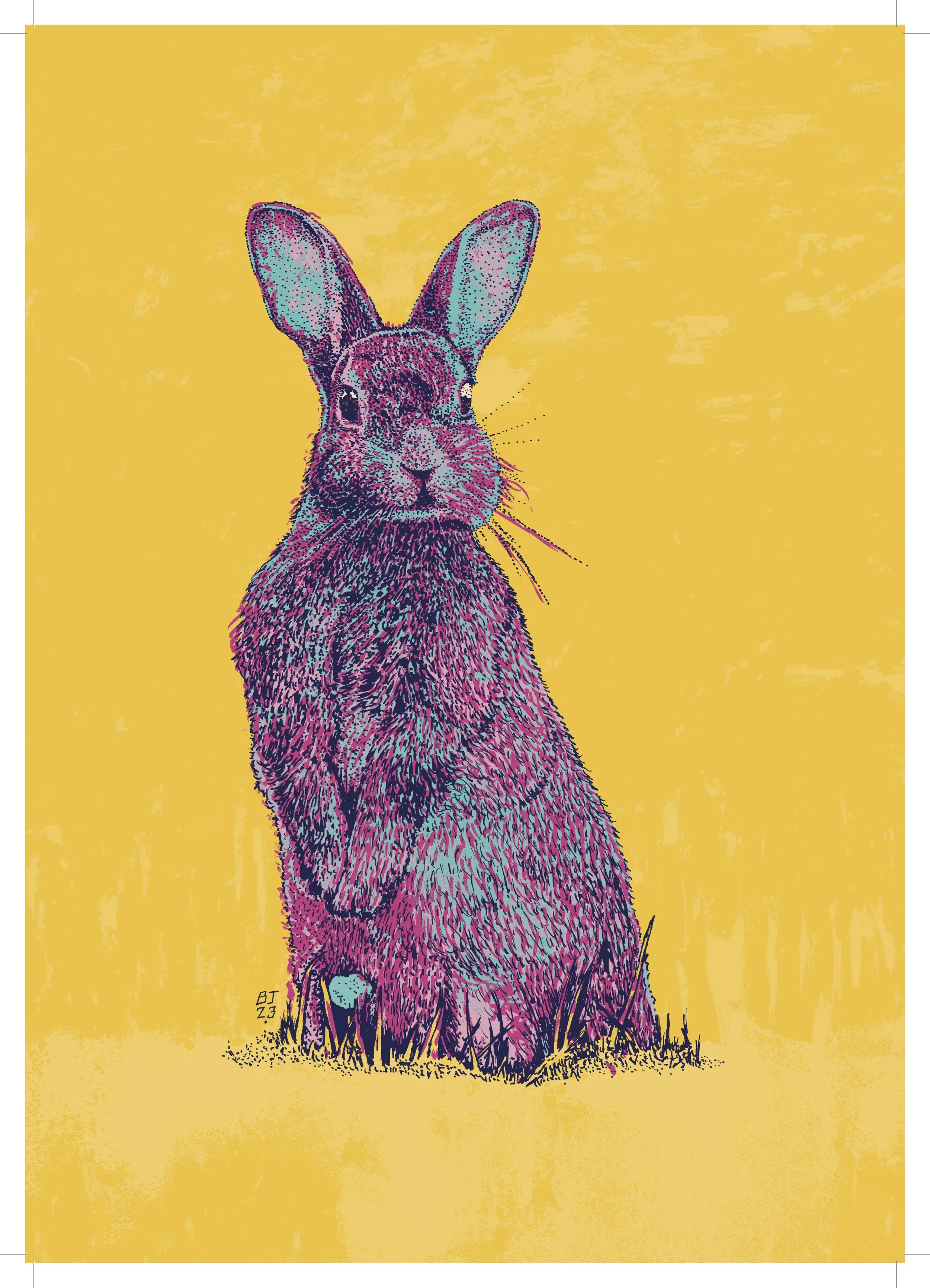 Mushroom Chart - Steph Baxter — Beam Works