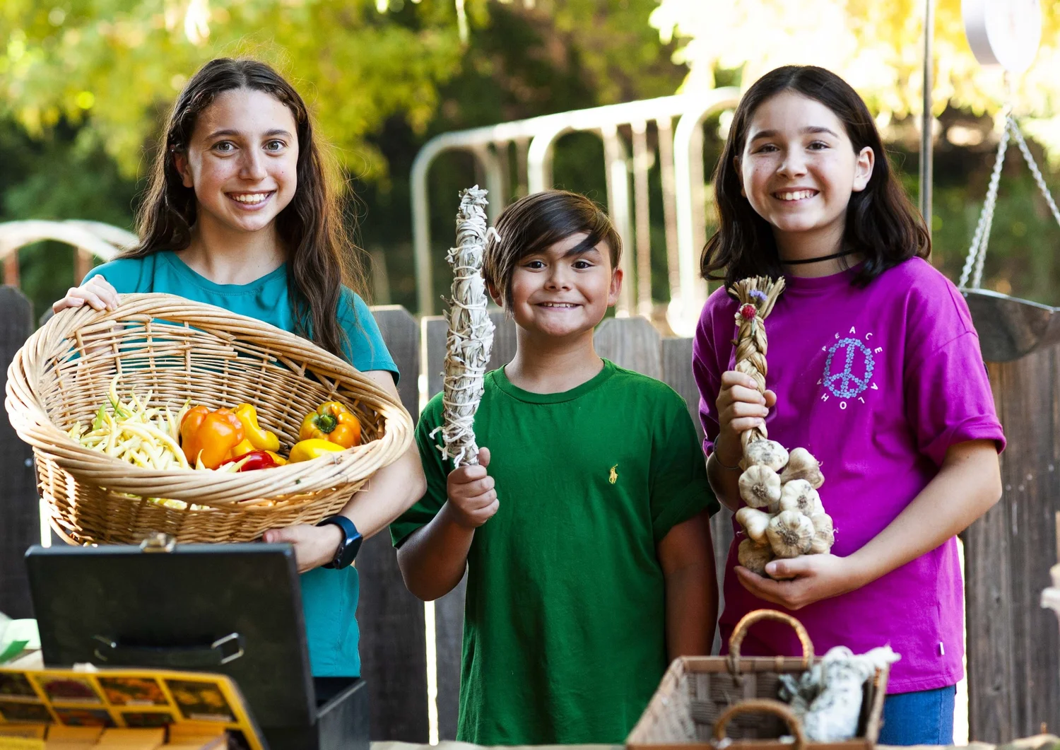 Sixth Grade Curriculum — Sacramento Waldorf School