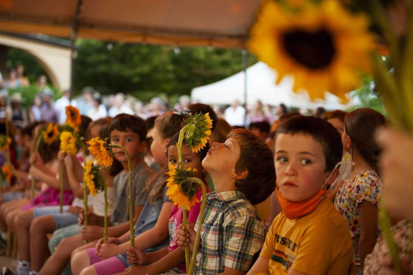 First Grade Curriculum — Sacramento Waldorf School