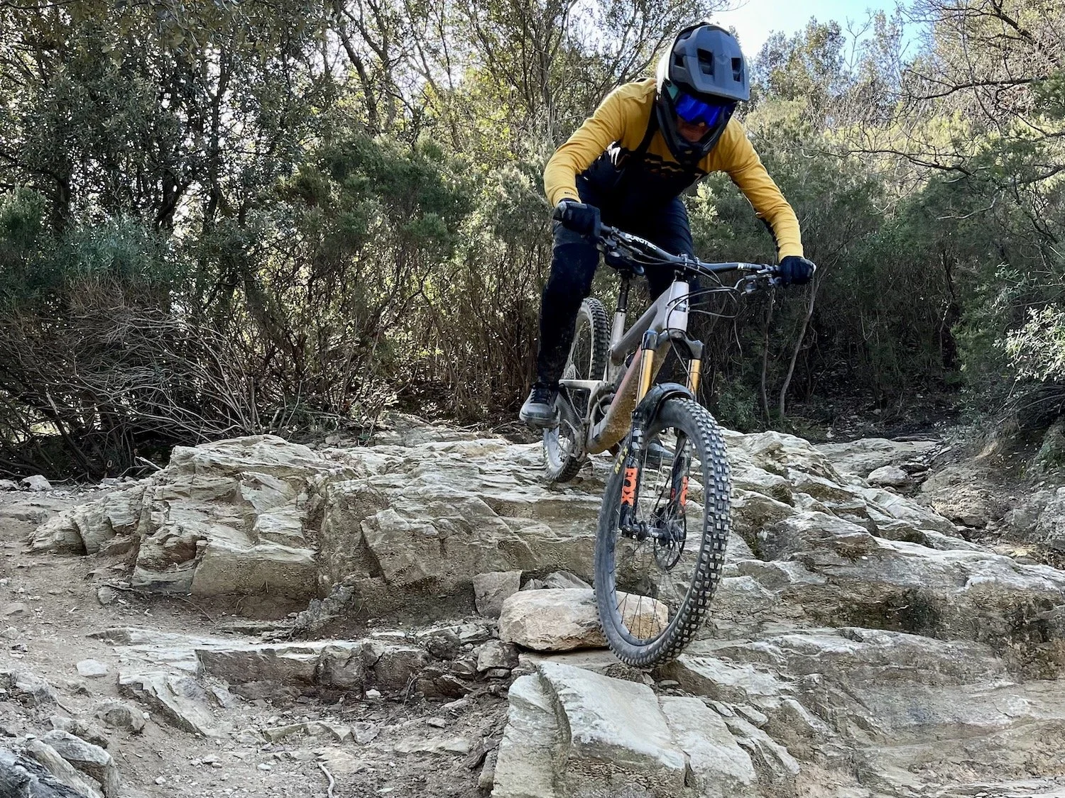 MAXXIS in der PRAXIS – ein Leitfaden für den Reifenkauf — Bike-School ...