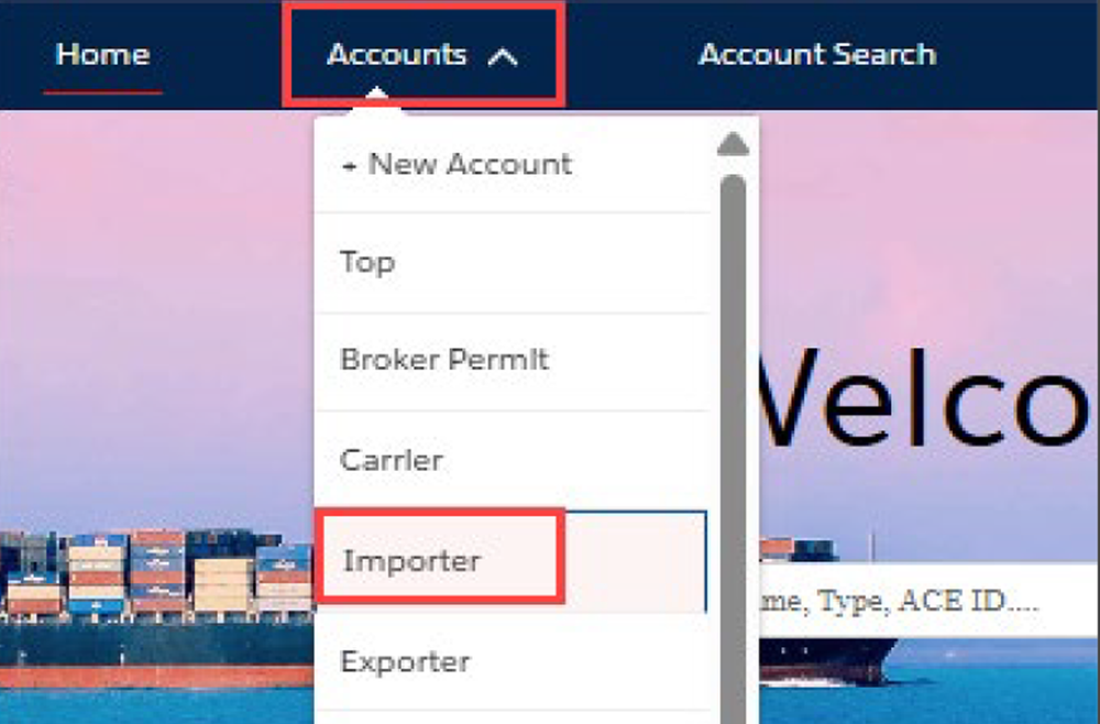 Ace Portal ACH Set UP — Juno Logistics