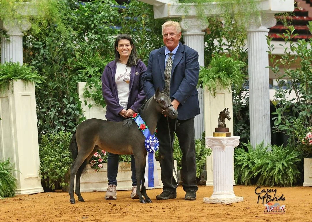 Crown Ranch Miniatures - Crown Ranch Miniatures