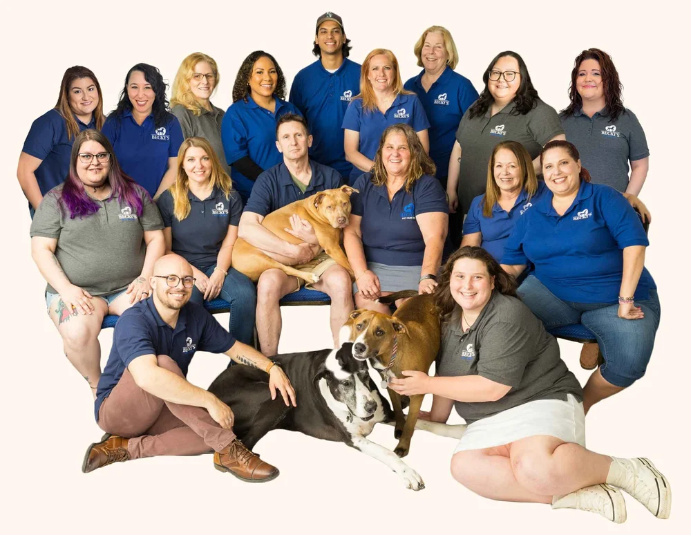 Our Team | Beckys Pet Care