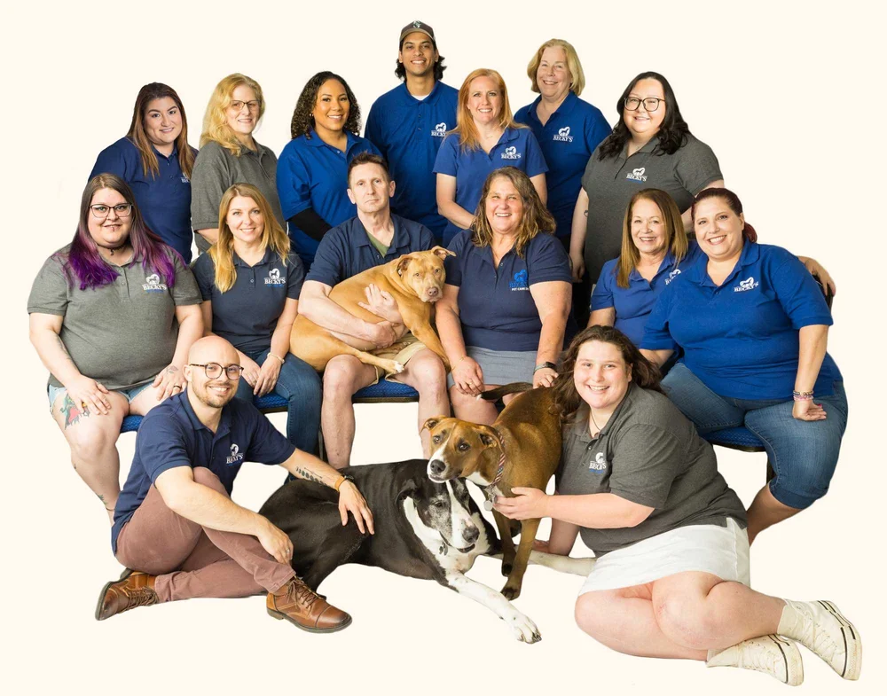 Our Team | Beckys Pet Care