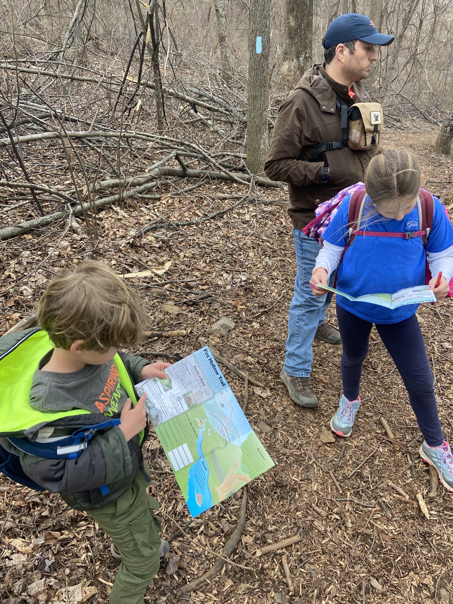 Short, Kid Friendly Hikes in Shenandoah National Park