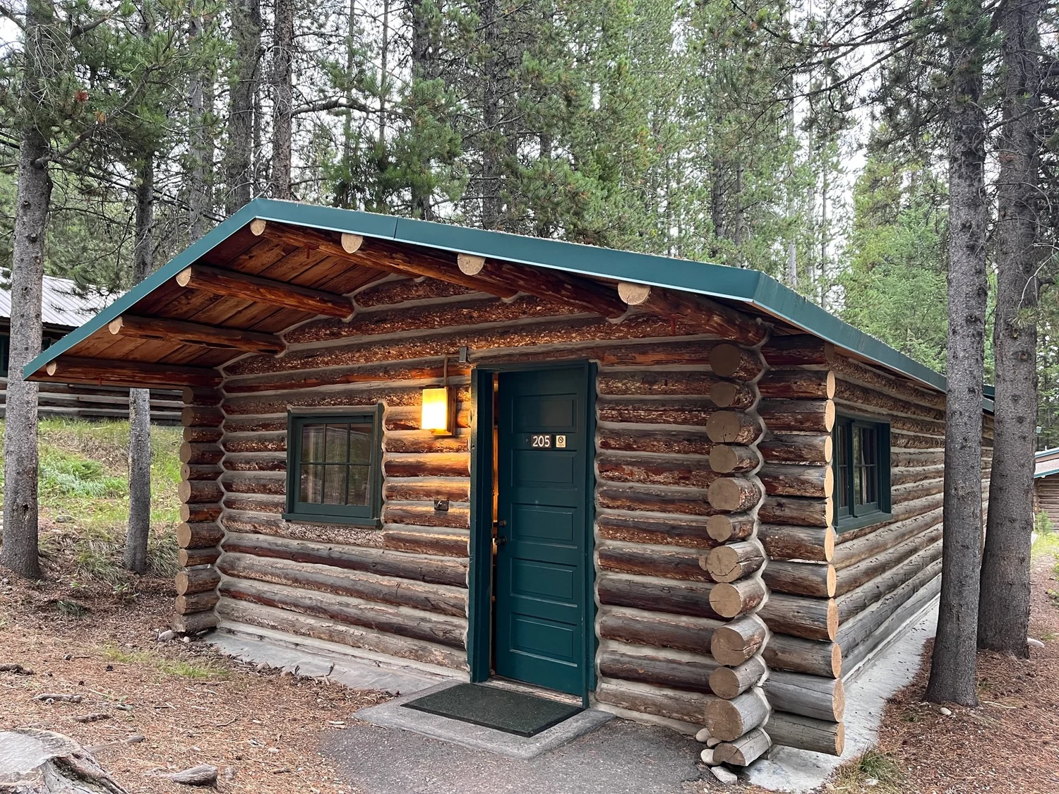 Colter Bay Cabins Review: Best Place to Stay in Grand Teton National Park