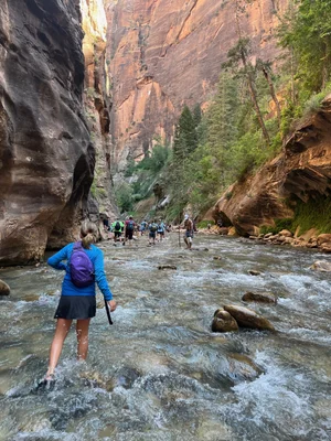 Kid-Friendly Zion National Park Planning Tools