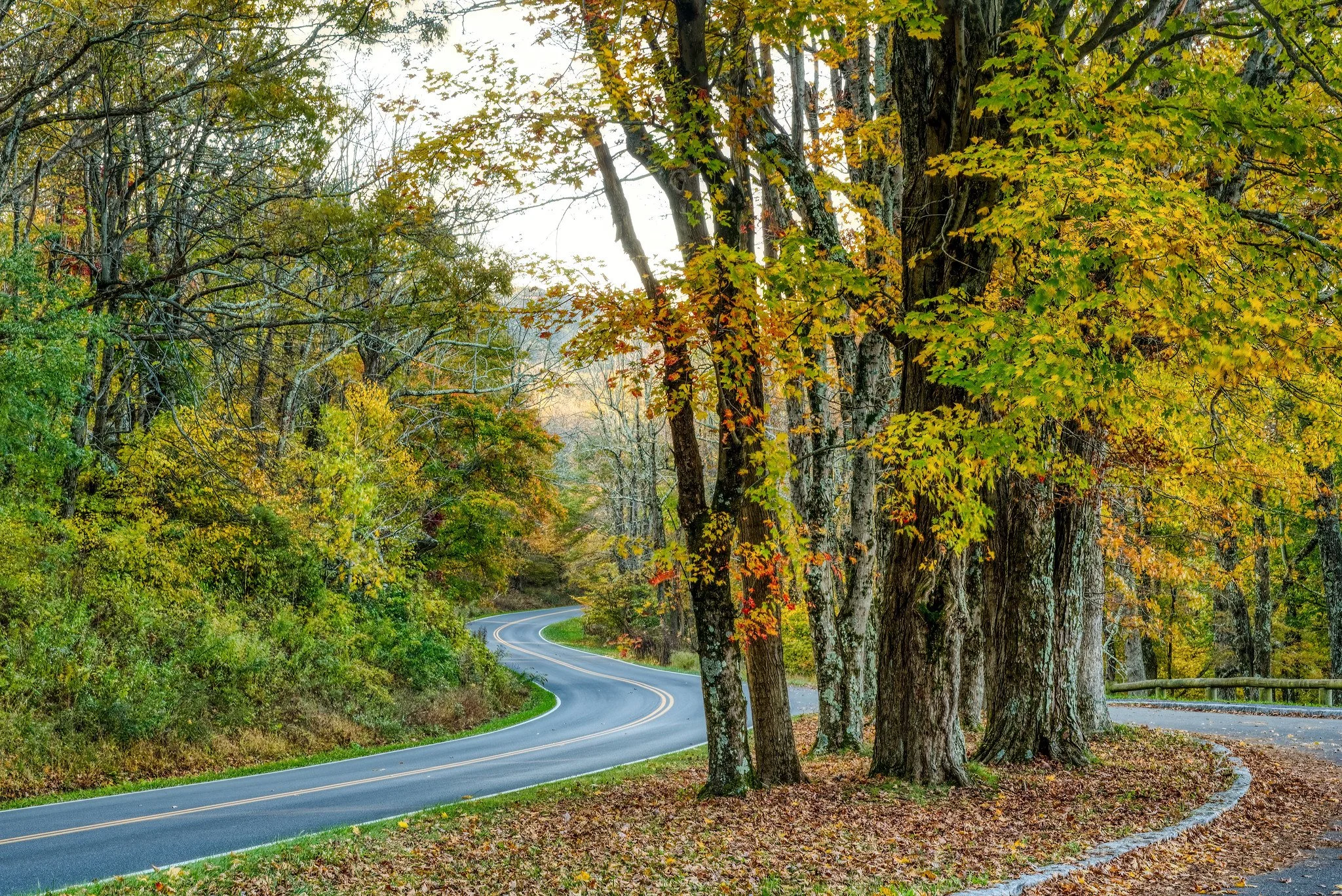 The Best Time to Visit Shenandoah National Park