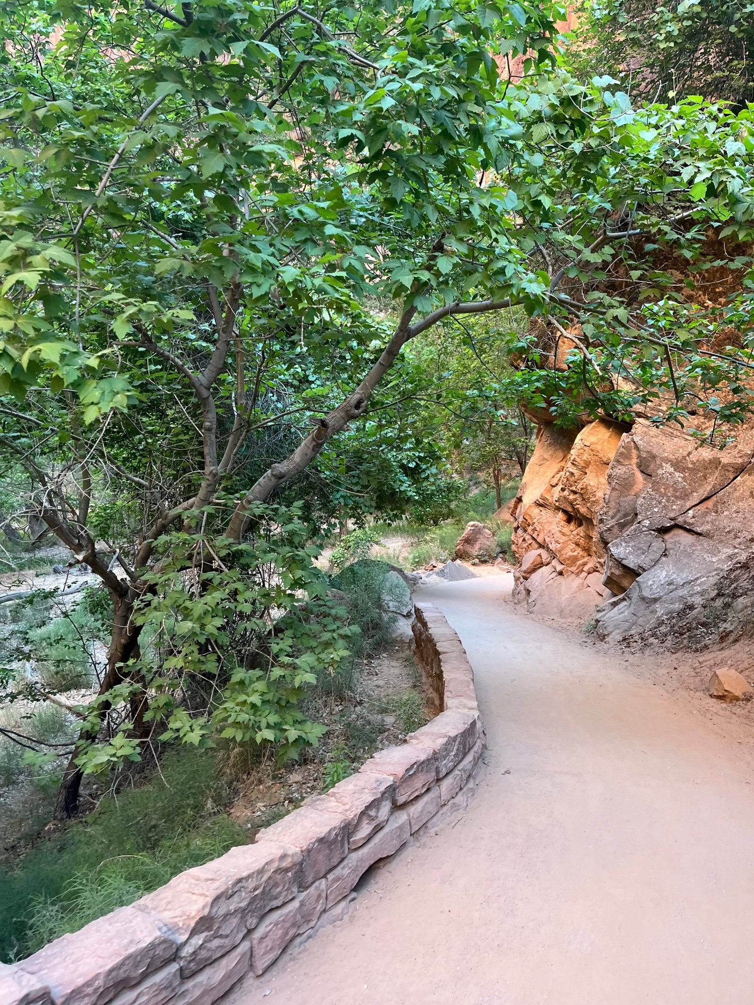 Hiking the Narrows with Kids: What to Know, Do, and Take