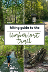 Limberlost Trail in Shenandoah National Park: A Hiking Guide