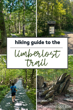 Limberlost Trail in Shenandoah National Park: A Hiking Guide