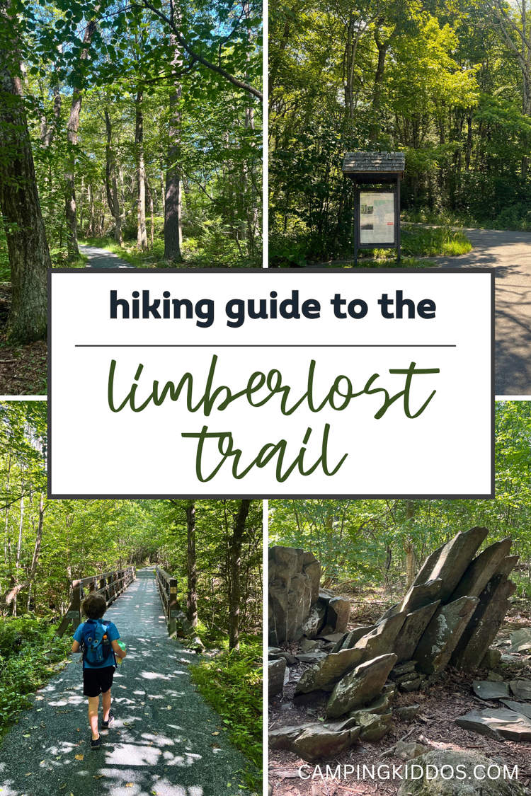 Limberlost Trail in Shenandoah National Park: A Hiking Guide