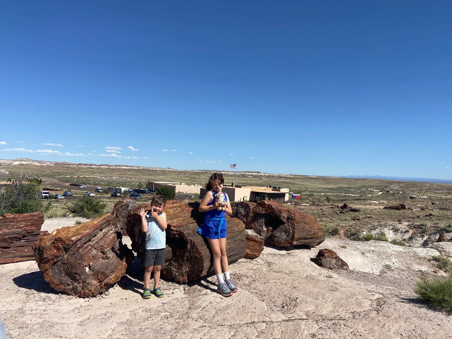 Petrified Forest National Park in 1 Day Itinerary
