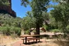 11 Things To Do in Zion National Park Besides Hiking