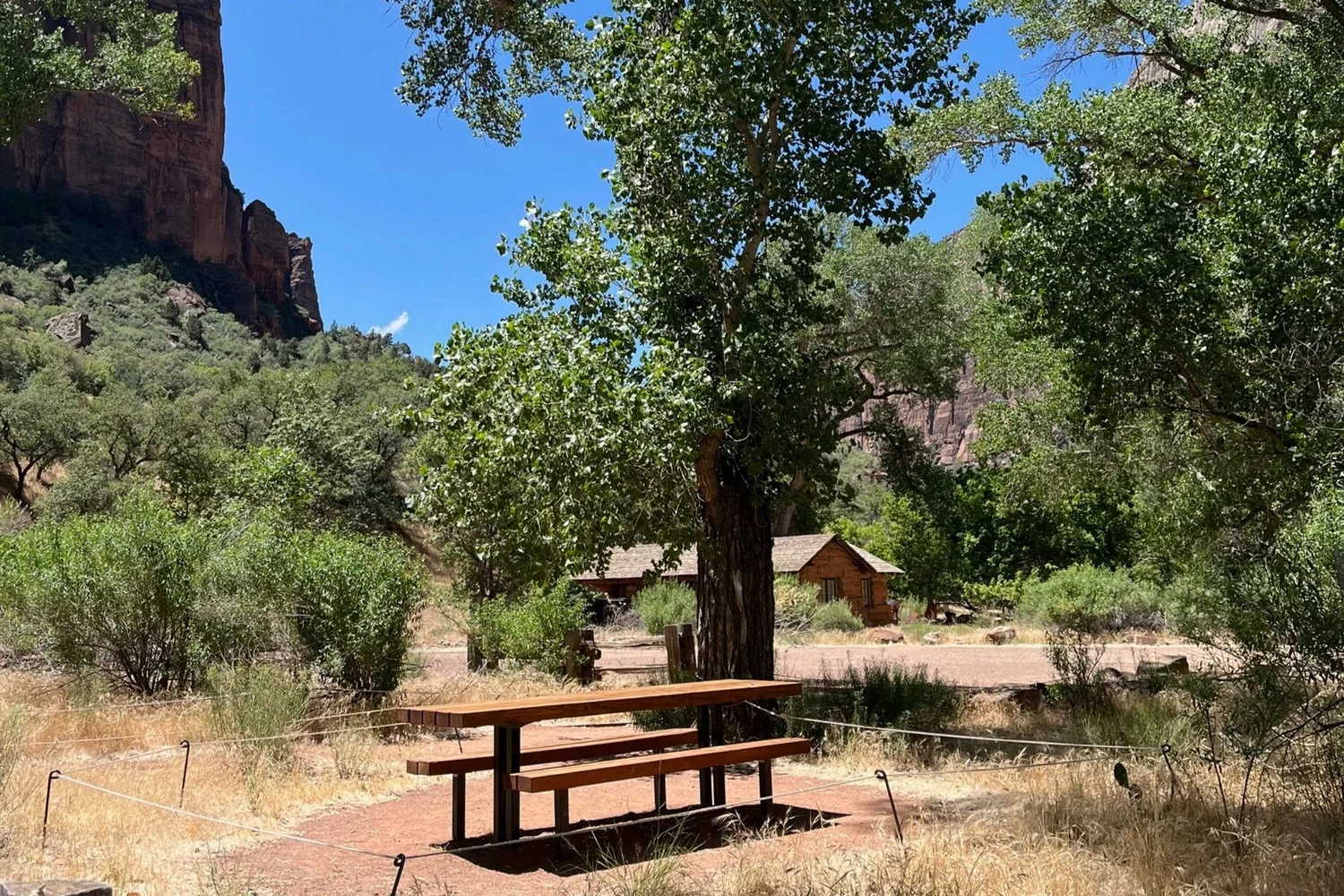 11 Things To Do in Zion National Park Besides Hiking