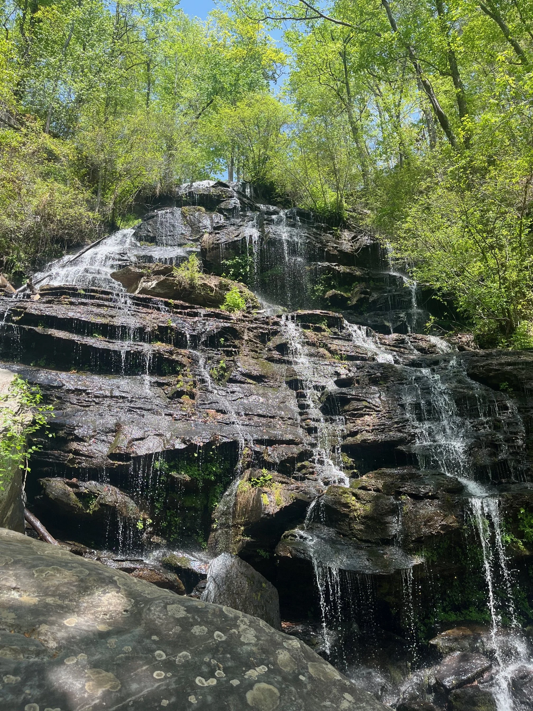 Best Things to Do in Walhalla, SC for Families