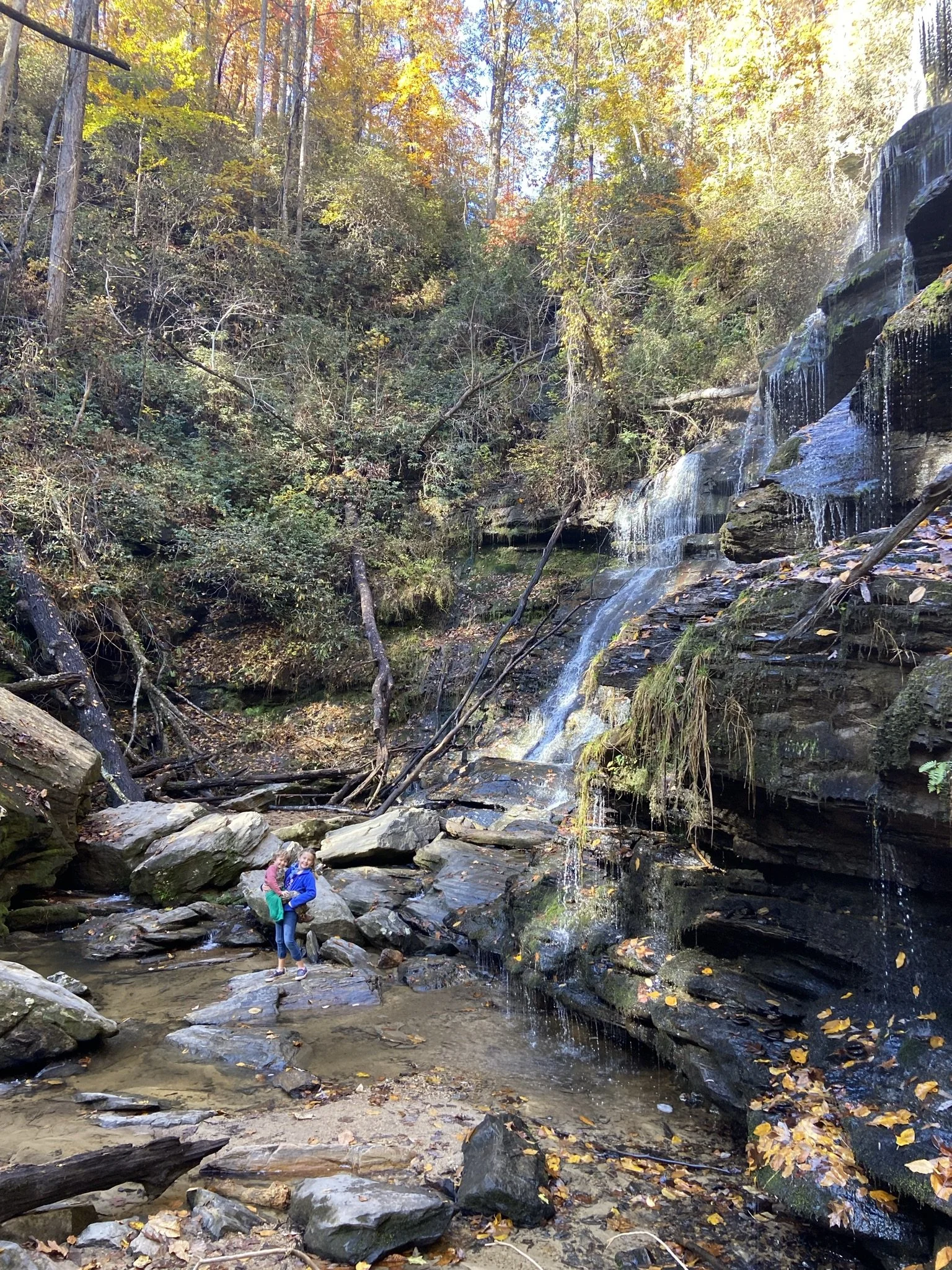 Yellow Branch Falls Hike in Walhalla, SC