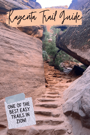 Kayenta Trail in Zion National Park: A Guide