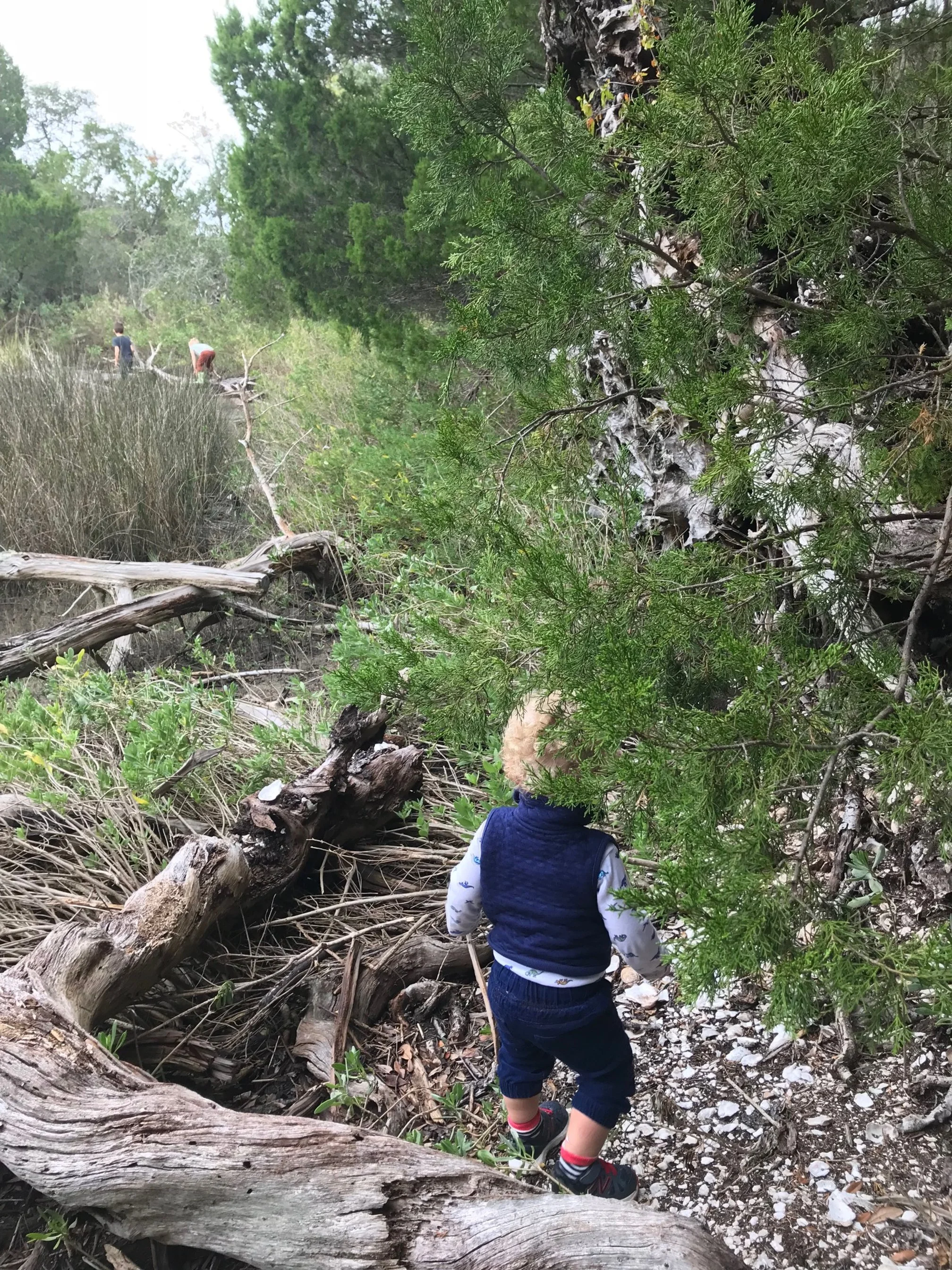 Best Things to Do in Charleston in Winter