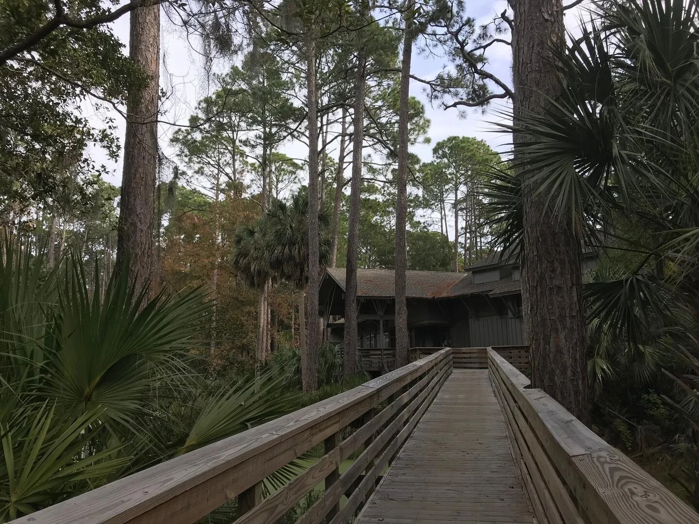 Hunting Island State Park: Best Things to Do and See
