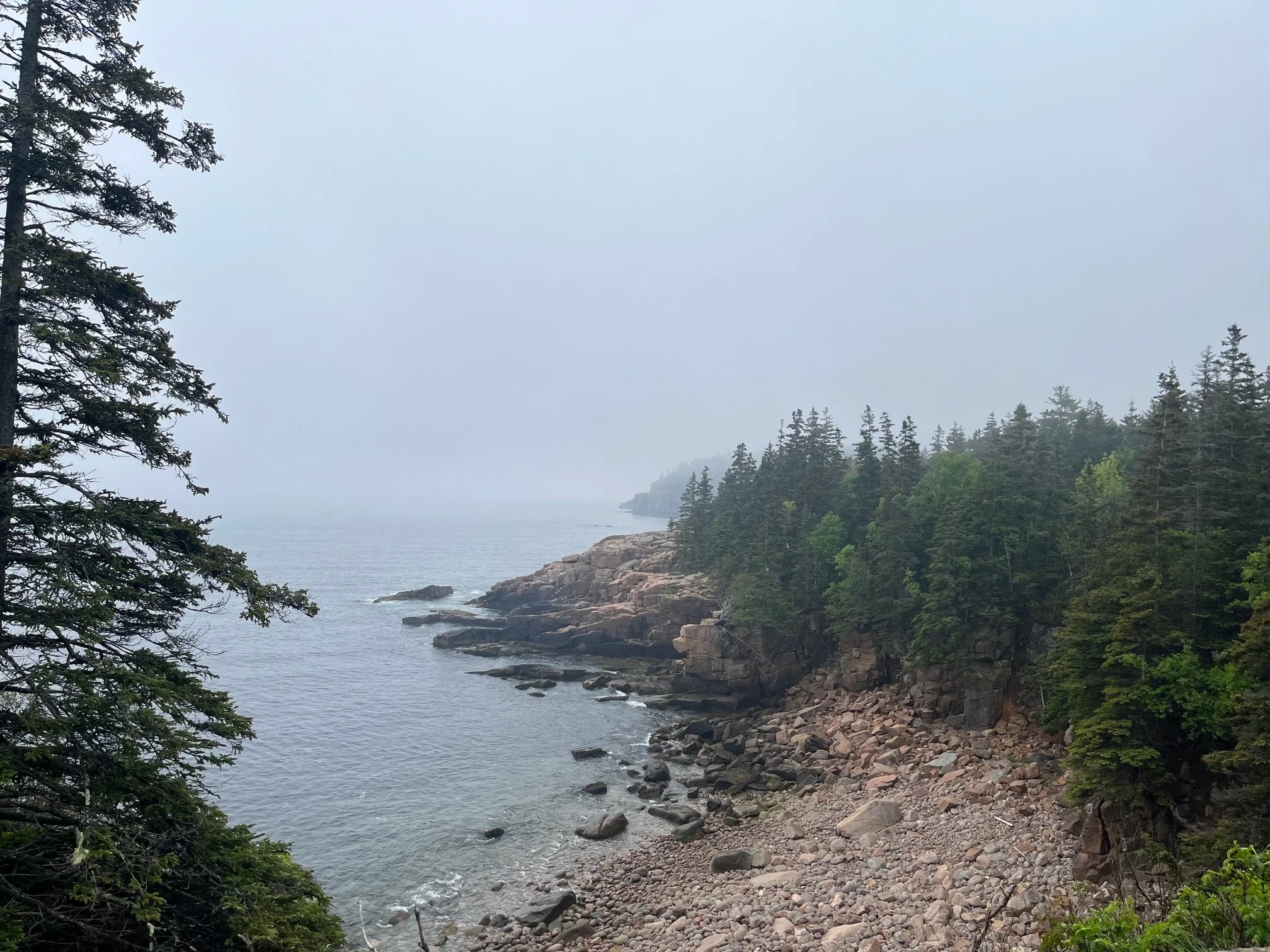 Visiting Acadia National Park with Kids: The Ultimate Guide