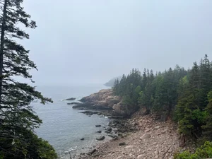 Visiting Acadia National Park with Kids: The Ultimate Guide