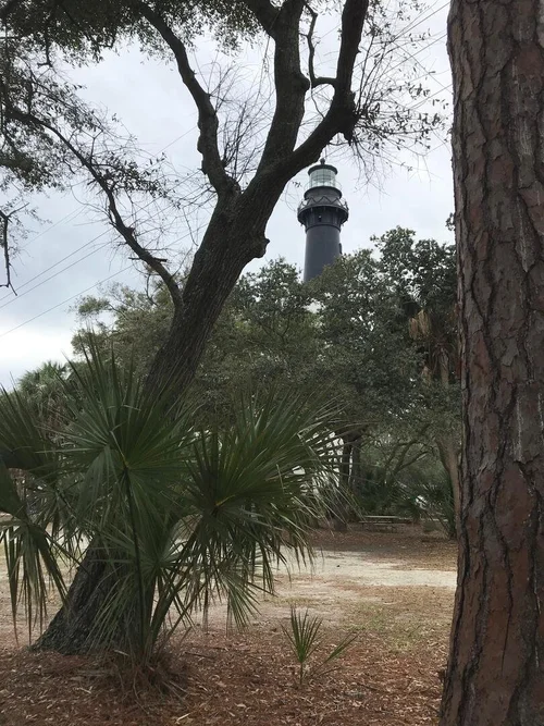 Hunting Island State Park: Best Things to Do and See
