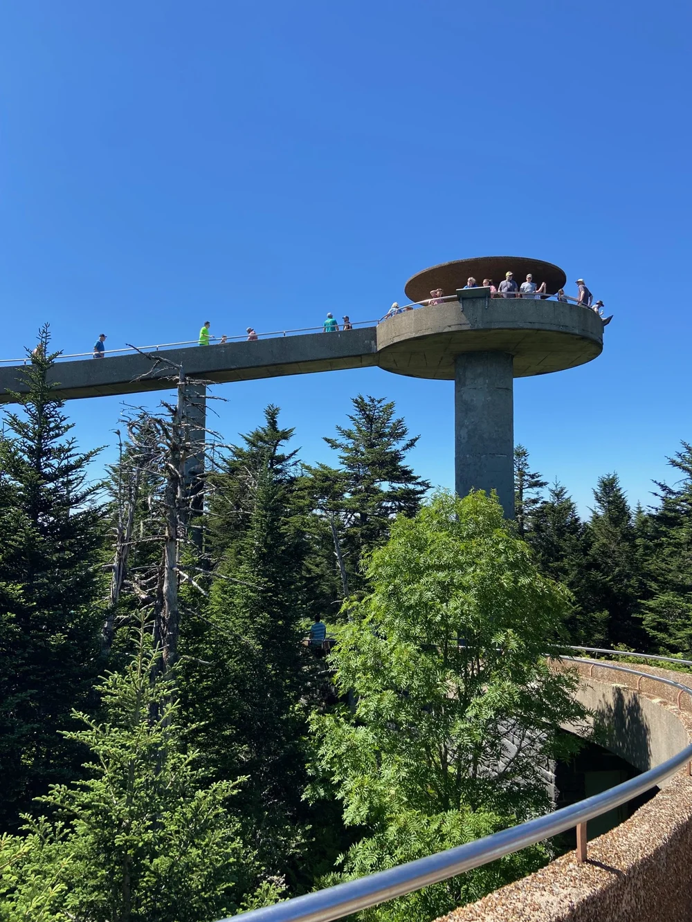 Clingman’s Dome Hike: A Complete Guide