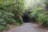 Best Things to Do in Walhalla, SC for Families