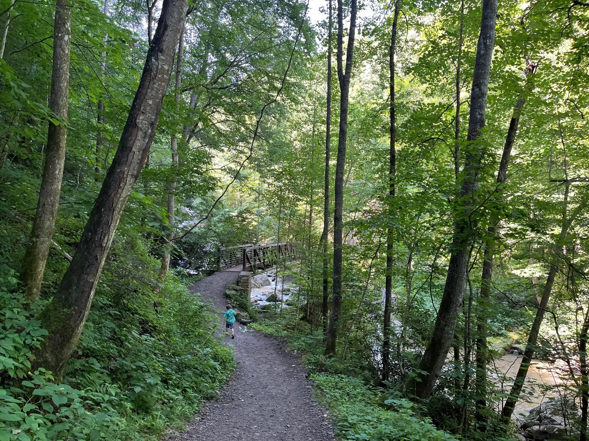 New River Gorge National Park with Kids: A Guide