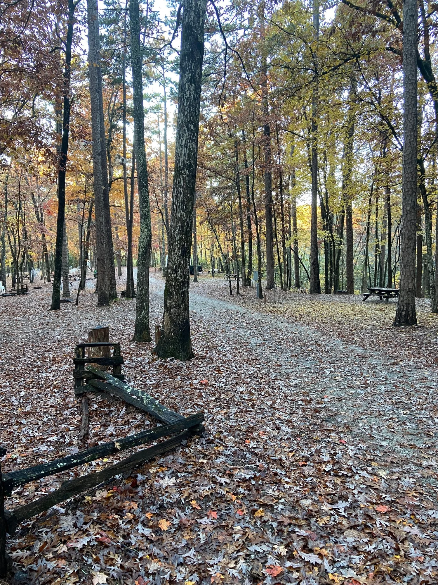 9 Best State Parks in South Carolina for Camping