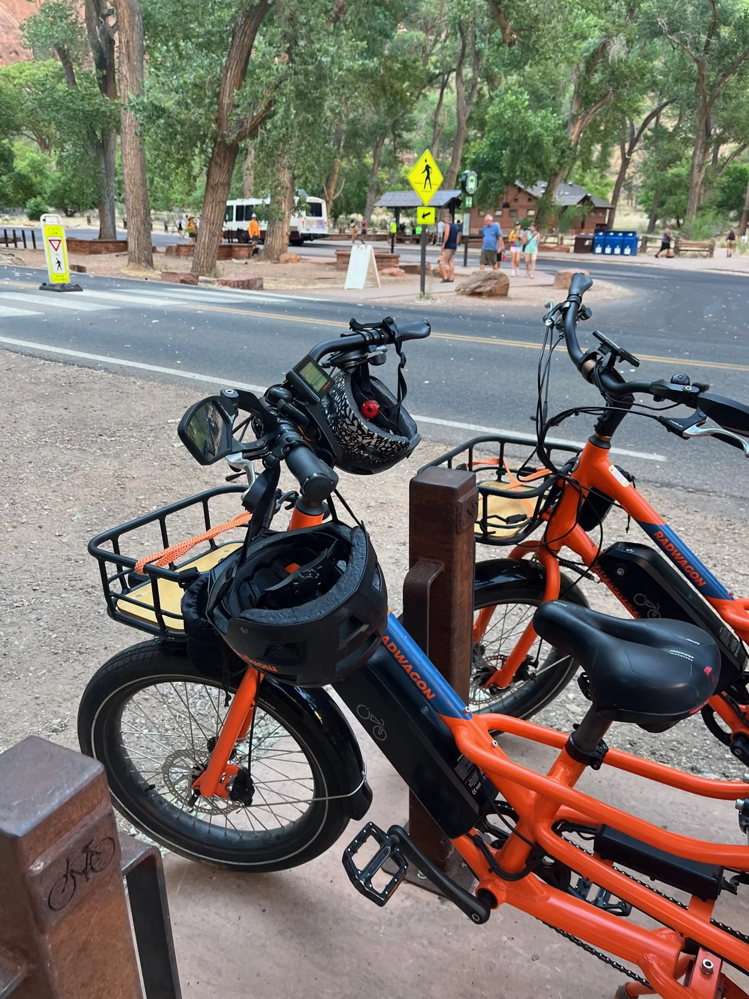 Biking through Zion National Park: Everything You Need to Know
